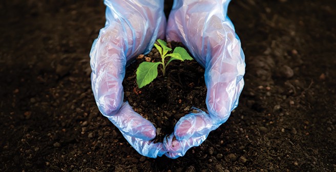 USA | Degradation, biodegradation and compostability